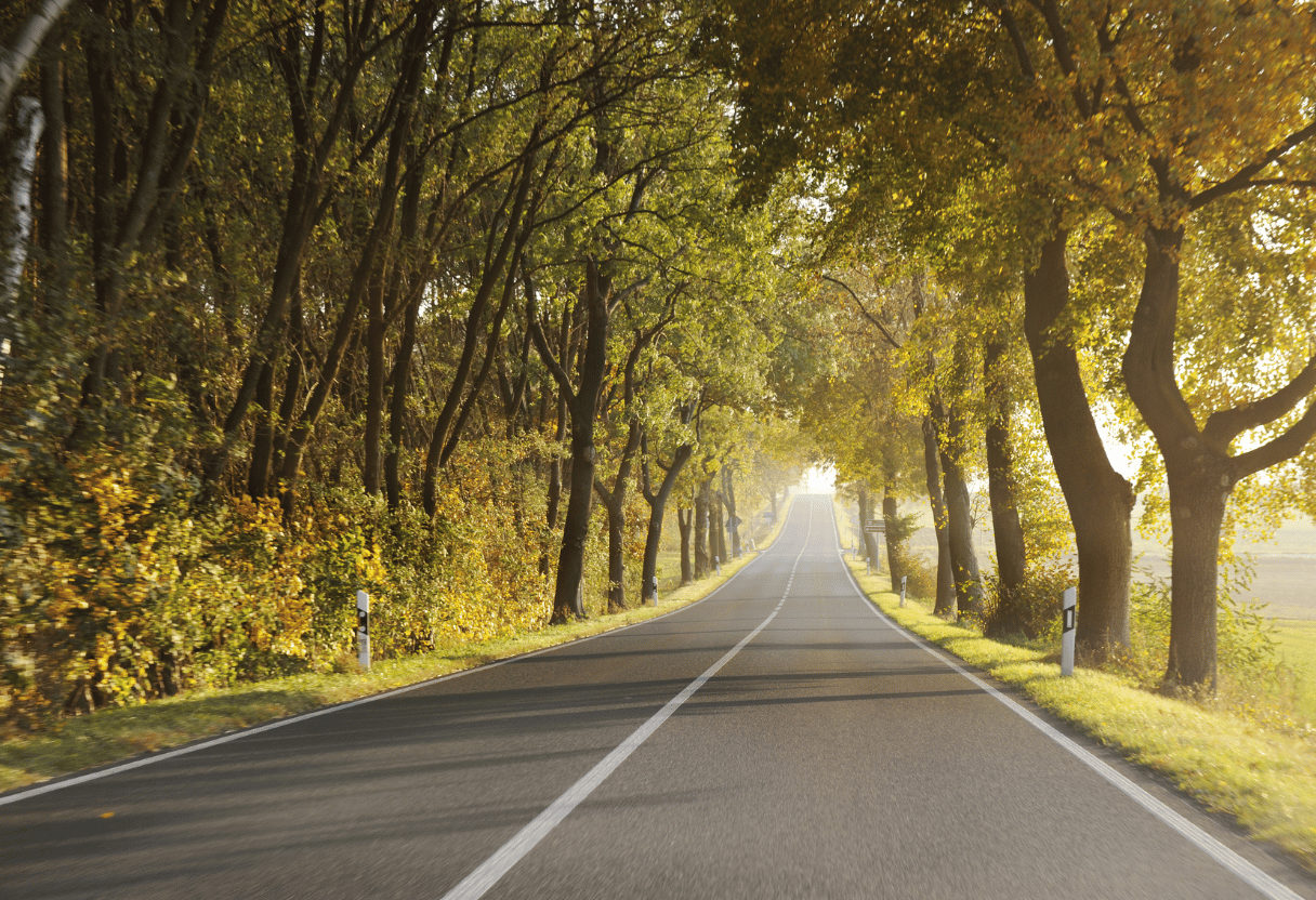 Road to Riches: How to Get Paid to Drive a Car Across Country – A ...