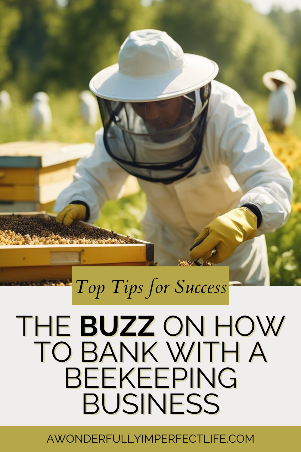 Buzzing Towards Success: Top Tips on How to Start a Beekeeping Business – A Wonderfully ...